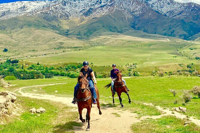 Cardrona High Country Pub Trail Horse Trek (Intermediate level+) - Analyzing the Value