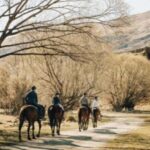Cardrona Valley: Horse Trekking Experience - The Itinerary in Detail