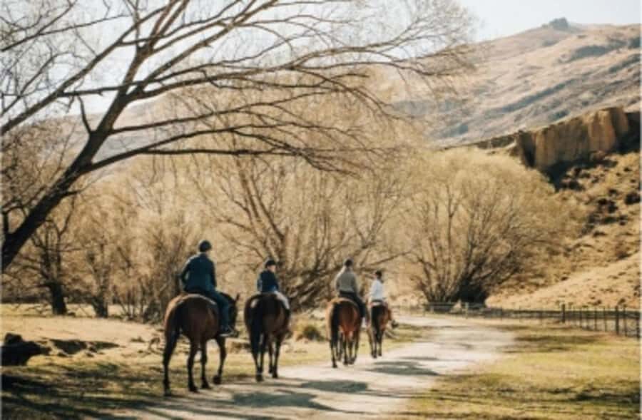 Cardrona Valley: Horse Trekking Experience - The Itinerary in Detail