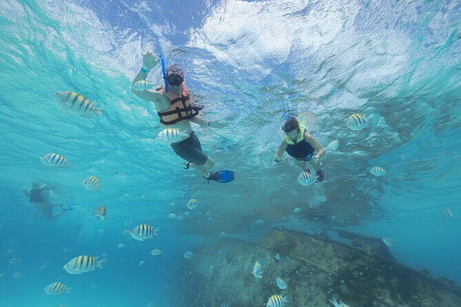 Caribbean Star Snorkeling Tour - The Value Proposition