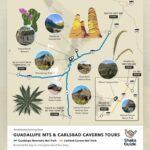 Carlsbad Caverns National Park Self Guided Audio Tour - Practical Aspects and Value
