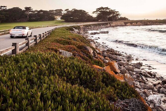 Carmel Drive Tour - Practical Details and What to Expect