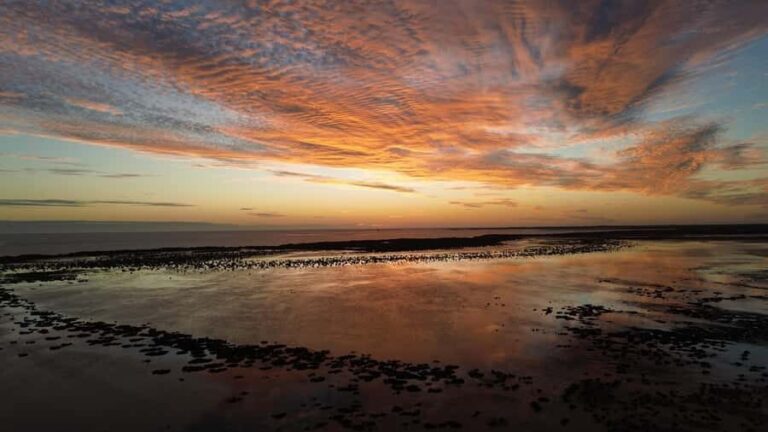 Carnarvon: Indigenous Guided Sunset Walk - Why This Tour Offers Great Value