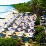 Cartagena: Rosario Island Beach Club Day Trip and OPEN BAR - Deep Dive into the Itinerary