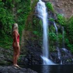 Cassowary Falls Adventure Tour - Daintree Rainforest - The Highlight: Cassowary Falls