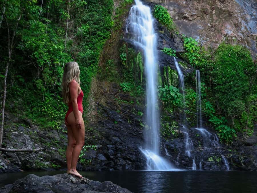 Cassowary Falls Adventure Tour - Daintree Rainforest - The Highlight: Cassowary Falls