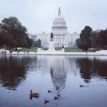 Castle to Capitol: Museums of the National Mall Architecture Tour - What to Expect in Practice