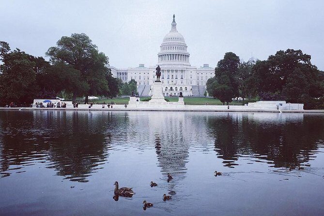 Castle to Capitol: Museums of the National Mall Architecture Tour - What to Expect in Practice