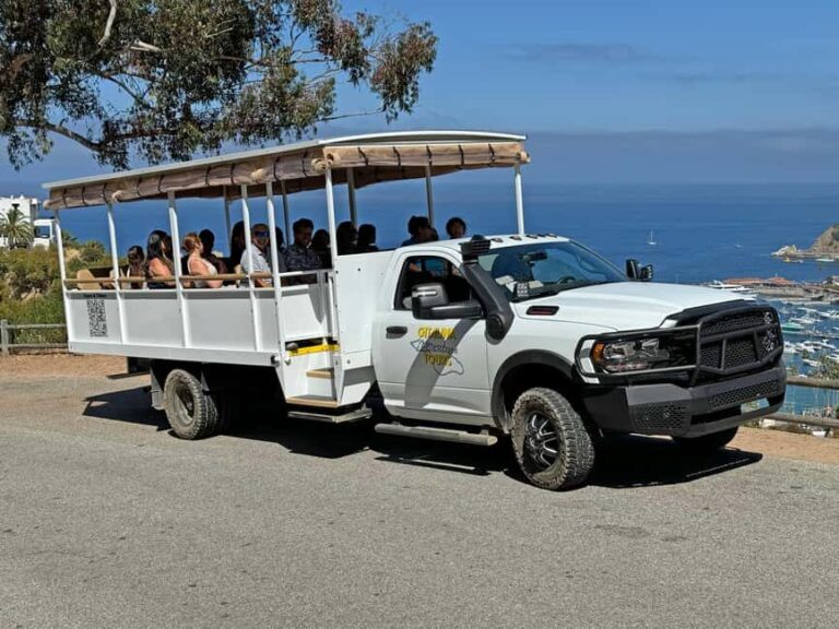 Catalina Island City & Scenic Mt. Ada Tour