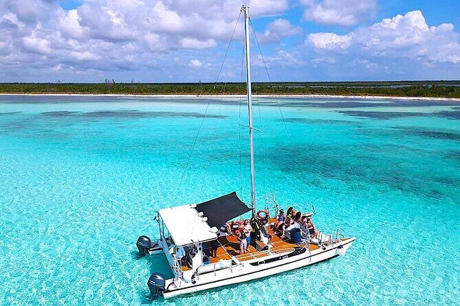 Catamaran Snorkeling to El Cielo and The Money Bar Beach Club - Practical Information and What to Expect