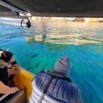 Cathedral Cove 2 Hour Guided Tour Explore Marine Wonders - Final Thoughts