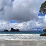 Cathedral Cove & Coromandel Private Experience from Auckland - Detailed Breakdown of the Itinerary