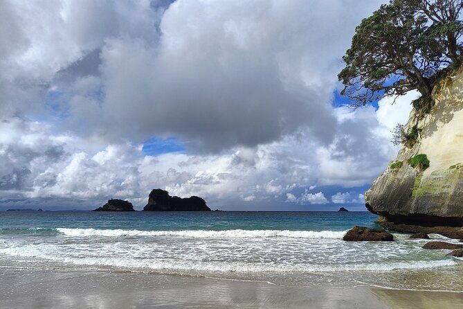 Cathedral Cove & Coromandel Private Experience from Auckland - Detailed Breakdown of the Itinerary