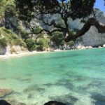 Cathedral Cove Day Trip from Auckland - Why This Tour Offers Great Value