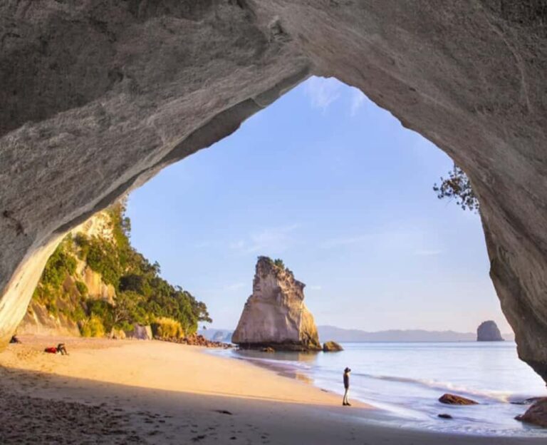 Cathedral Cove Electric Fat Tyre Bike Tour with Local Guide - Practical Details and Why They Matter