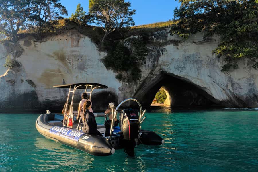 Cathedral Cove Marine Reserve: Snorkeling Boat Trip - What Makes This Tour Stand Out?