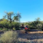 Cave Creek: Honda TRX250 ATV Rental - What Makes This ATV Rental Stand Out?