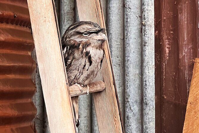 Caversham Wildlife and Swan Valley Private Tour - Exploring the Itinerary in Detail