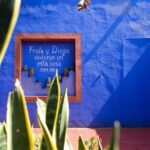 CDMX: Coyoacán, UNAM, Xochimilco, and optional Frida Kahlo Museum - Analyzing the Tour’s Value