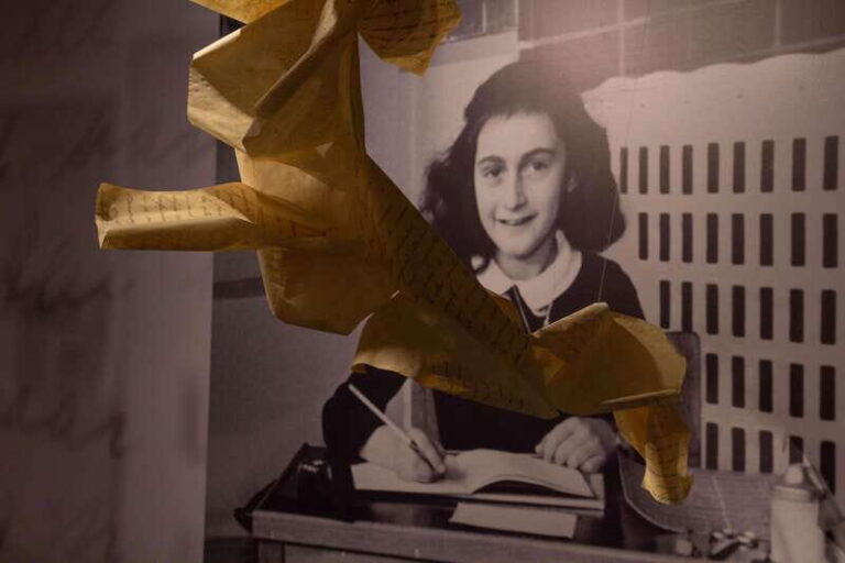 CDMX: Museum of Memory and Tolerance - Anne Frank (Entrance ticket) - What to Expect from the Anne Frank Exhibition