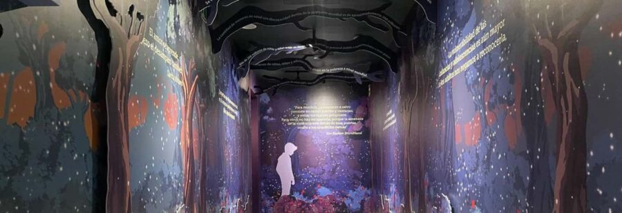 CDMX: Museum of Memory and Tolerance - Children in Silence (Admission ticket) - Key Points