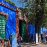 CDMX: Private tour of Xochimilco, Coyoacán, and the Frida Museum - The Sum Up
