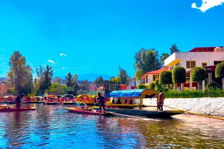 CDMX: Trajinera party in Xochimilco with tacos, music, and drinks - What is the Trajinera Party in Xochimilco?