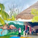 Celestun Flamingos Beach & Seafood Tour departure from Merida - What’s Included and What You Should Know