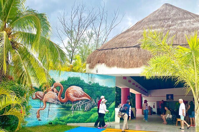 Celestun Flamingos Beach & Seafood Tour departure from Merida - What’s Included and What You Should Know