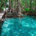 Celestun mangrove boat tour from Mérida - Final Thoughts: Is it Worth It?