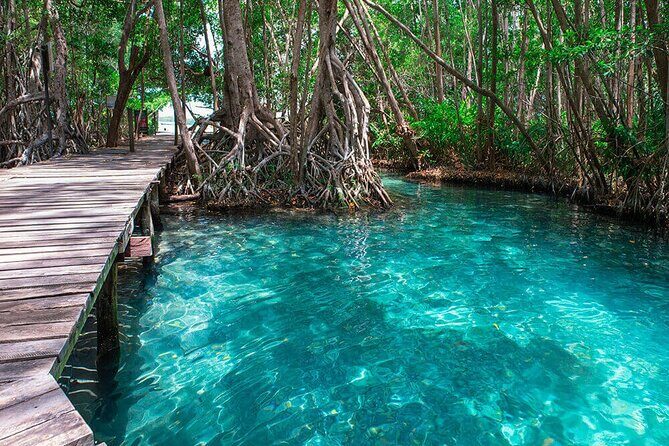 Celestun mangrove boat tour from Mérida - Final Thoughts: Is it Worth It?