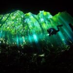 Cenote Diving - 2 Tank Dive Trip for Certified Divers - The Value of This Tour