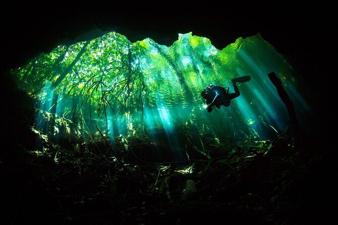 Cenote Diving - 2 Tank Dive Trip for Certified Divers - The Value of This Tour