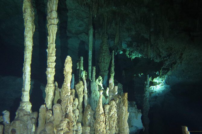 Cenote diving Dream Gate - The Review of the Experience