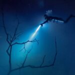 Cenote El Pit and Dos Ojos Dive Trip - The Sum Up