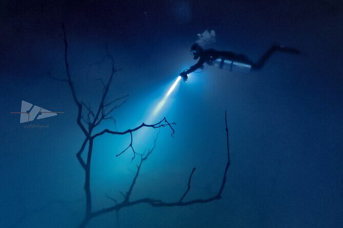 Cenote El Pit and Dos Ojos Dive Trip - The Sum Up