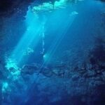 Cenotes 2-Tank Dive in Playa del Carmen/for certified divers only - An In-Depth Look at the Cenotes 2-Tank Dive