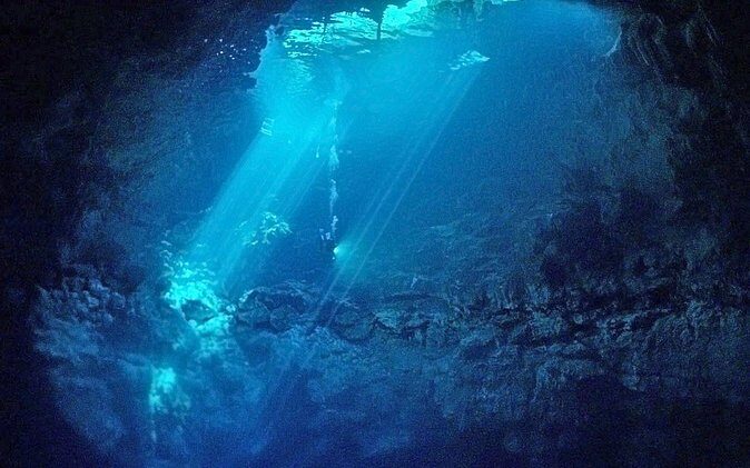 Cenotes 2-Tank Dive in Playa del Carmen/for certified divers only - An In-Depth Look at the Cenotes 2-Tank Dive