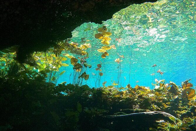 Cenotes El Pit and Nicte Ha Guided Scuba Diving - Frequently Asked Questions