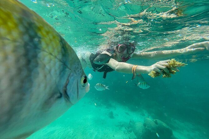 Cenotes Private Tour VIP - What’s Included and What You Might Want to Consider