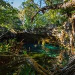 Cenotes trail jungle bike tour in Tulum with lunch - Who Should Book This Tour?