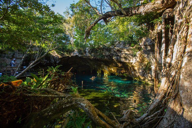 Cenotes trail jungle bike tour in Tulum with lunch - Who Should Book This Tour?