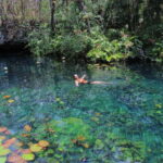 CENOTES TULUM/AKUMAL: 4 Cenotes in Mayan community and snorkeling with turtles - Adventure Activities in the Cenotes
