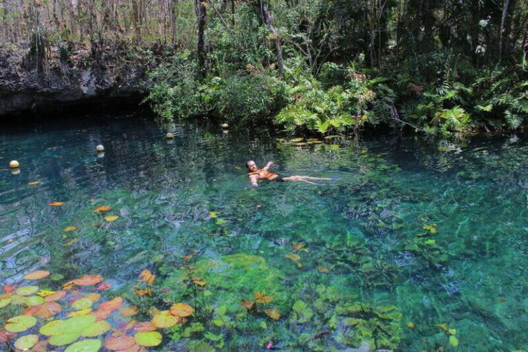 CENOTES TULUM/AKUMAL: 4 Cenotes in Mayan community and snorkeling with turtles - Adventure Activities in the Cenotes