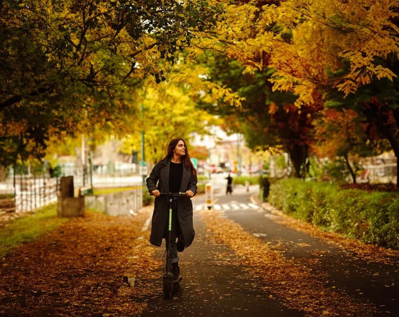 Central Park Escooter Rentals - What to Expect: Riding Through Central Park’s Charm