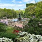 Central Park Private Pedicab Guided Tours - A Detailed Look at the Itinerary
