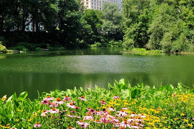 Central Park Scenic Walk with Local Guides - Potential Drawbacks & Considerations