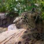Central Park Zoo and 3hrs Manhattan Walking Tour - Why Travelers Love This Tour (Based on Review Insights)