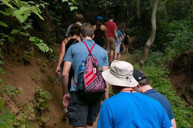 Cerro del Mono Hiking Adventure in Punta Mita - Authentic Insights from Traveler Feedback