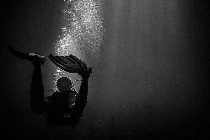 Certified Beach Night Dive - What You Can Expect from the Tour